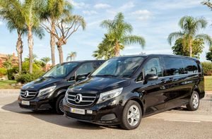 Minibus tours in Athens Greece